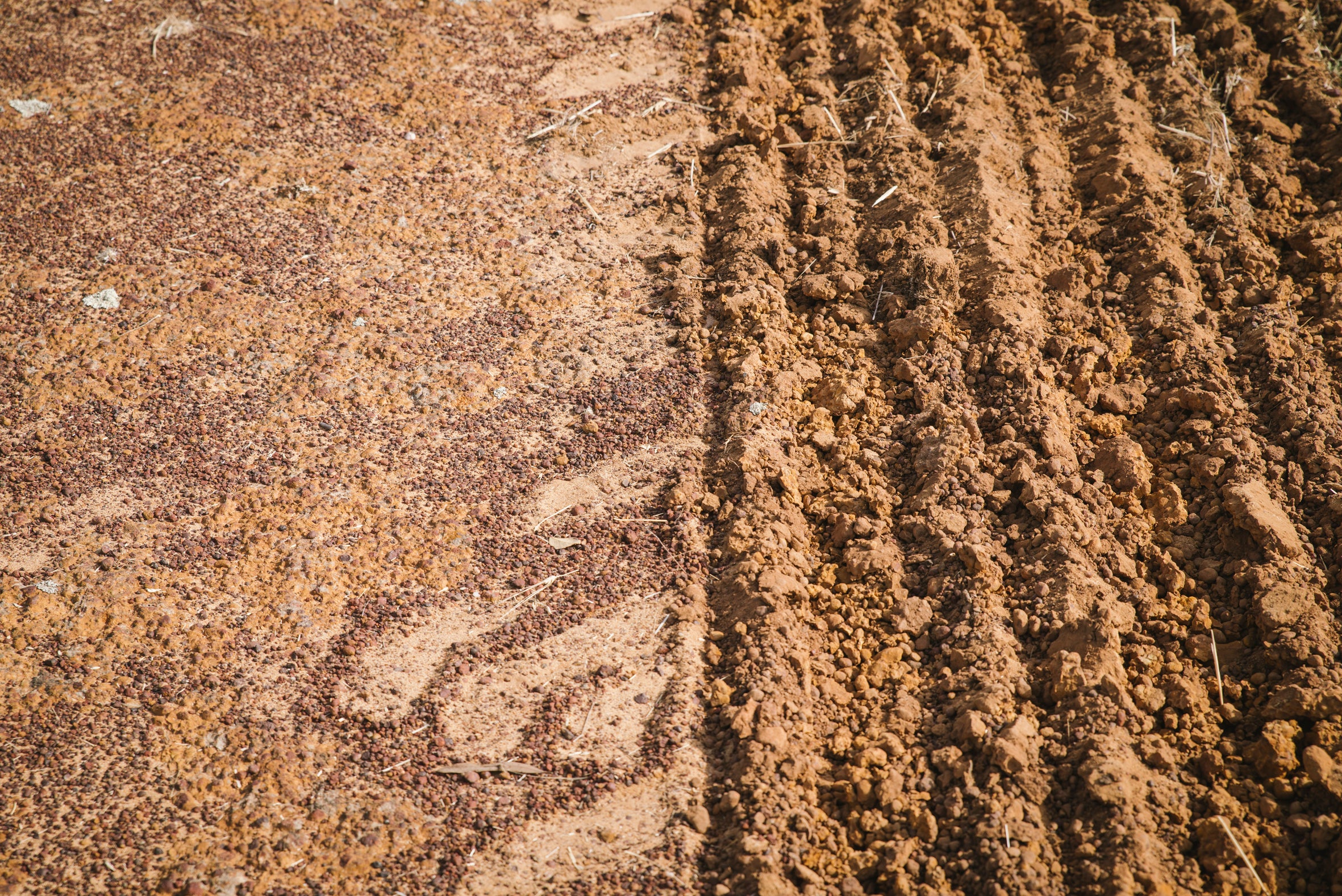 H4 Reefinator – Rocks Gone