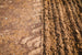 H4 Reefinator – Rocks Gone